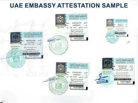 Uae Embassy Attestation Step By Step Process For All Countries
