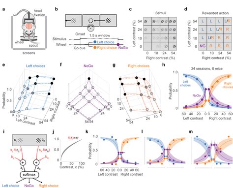 Visual Discrimination Task And Psychometric Model A Behavioral