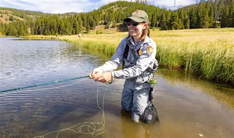 You Can Volunteer To Fish In Yellowstone National Park