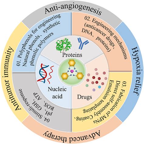 Engineering Metal‐phenolic Networks For Enhancing Cancer Therapy By