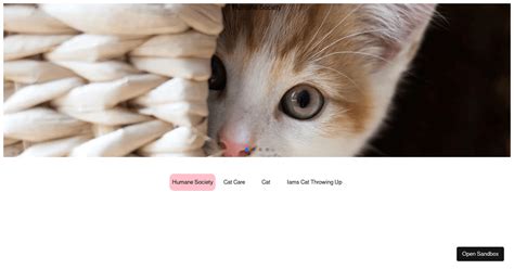 Custom Pagination With Multiple Slide Codesandbox