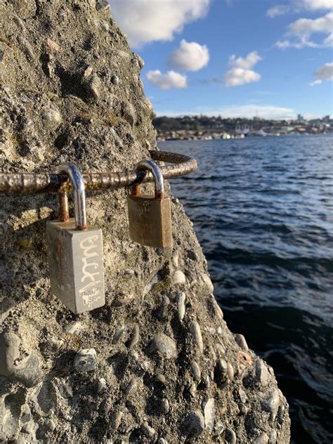 Jesus And Trials Emily Dickinson