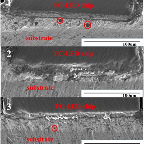 The Micro Morphology Of The Solder Joint Interface Of The Filament