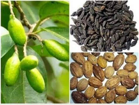 Small Harad N Black Packaging Size 50 Kg Per Bag At ₹ 300 Kg In Pune