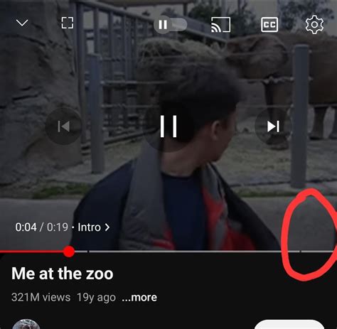 fullscreen button not showing r youtube