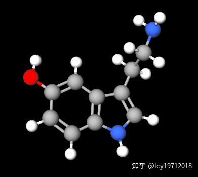 基本氨基酸的一些基本知识结构特点与记忆方法六 知乎