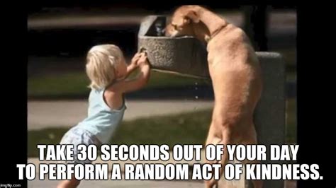 41 Kindness Memes To Share Goodwill With Others Happier Human