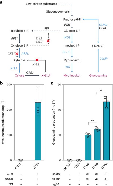 Production Of Monosaccharide Derivatives A Construction Of Synthetic