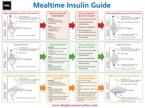 Infographic Mealtime Insulin Guide The Glucose Never Lies®