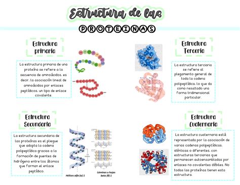 Estructura Secundaria De Las Proteinas