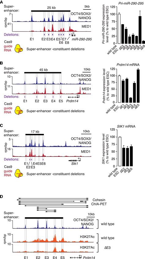 Convergence Of Developmental And Oncogenic Signaling Pathways At Transcriptional Super Enhancers