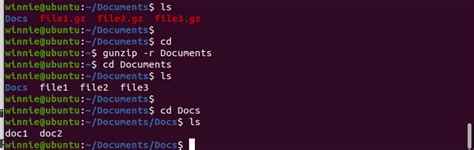 Linux Basics The Gunzip Command Explained With Examples