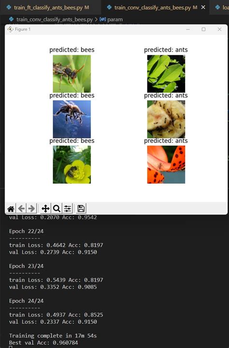 github freeaaron transfer learning pytorch tutorials beginner source