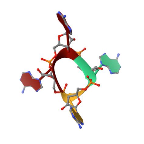 Rcsb Pdb 8y7g Crystal Structure Of The Marinitoga Sp Csx1 Crn2 H495a Mutant In Complex With