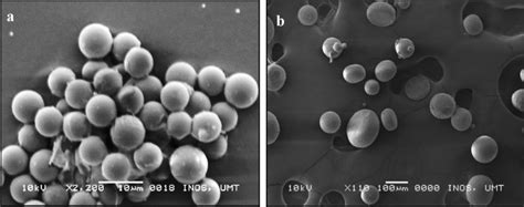 Scanning Electron Microscope Sem Images A Ps Microbead B Pha Microbead Download Scientific