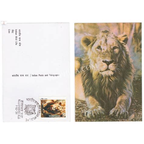 Indian Wild Life Lion Maxim Card Largest Online Dealer And Portal For