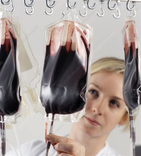 Blood Processing Stock Image F0123992 Science Photo Library