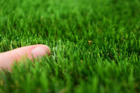 Parallax 42mm Artificial Grass And Grass Warehouse