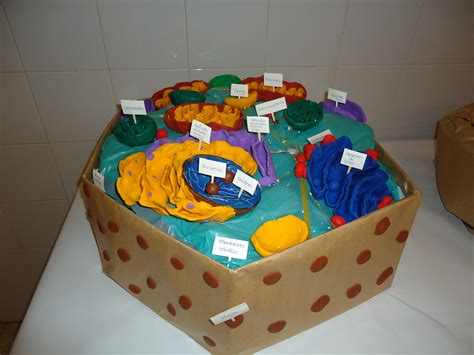 Ciencias7palmas ExposiciÓn