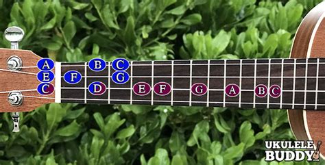 Ukulele Scales