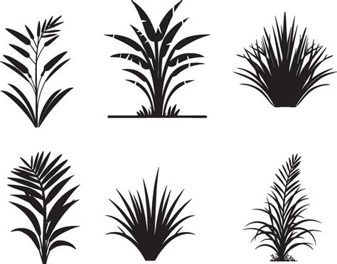 Palm Grass Vector Art Icons And Graphics For Free Download