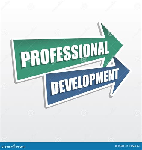 Berufsentwicklung In Den Pfeilen Flaches Design Stockbild Bild Von