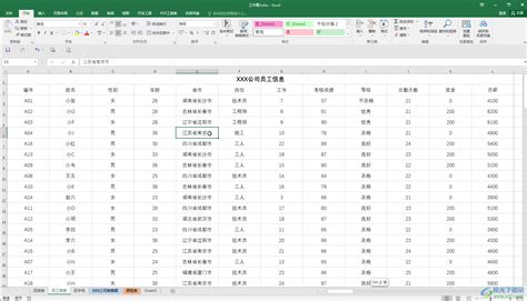Excel表格横向太长怎么打印 Excel横向打印的方法教程 极光下载站