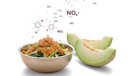 Dibalik Lotek Dan Melon Apakah Skandal Nitrit Tersembunyi Di Ompreng Mbg Program Baik Jangan