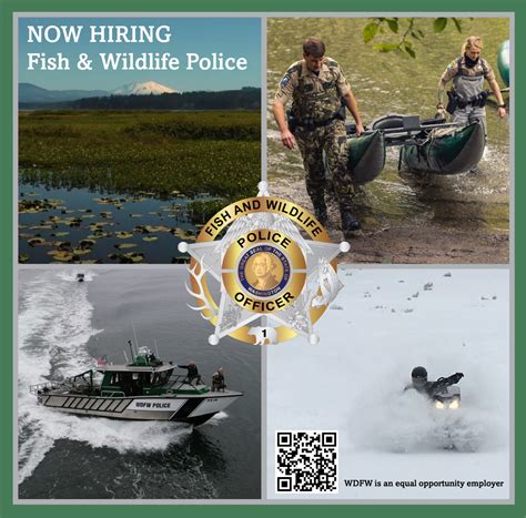 Washington Deer General Seasons Eregulations