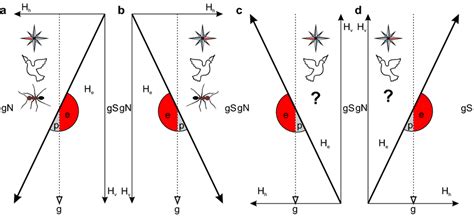 Differentiation Between Polarity And Inclination Compass Under