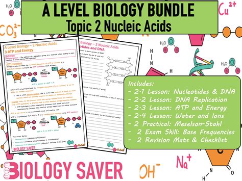 A Level Bio Bundle 2 Nucleic Acids Teaching Resources