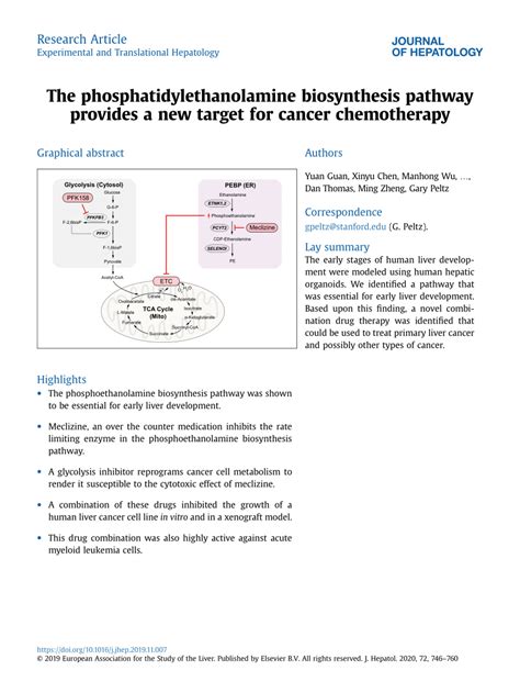Pdf The Phosphatidylethanolamine Biosynthesis Pathway Provides A New