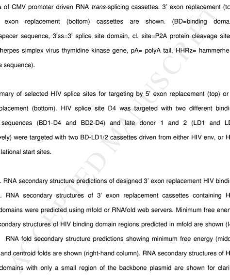 Rna Secondary Structure Predictions Of Designed 5 Exon Replacement Hiv