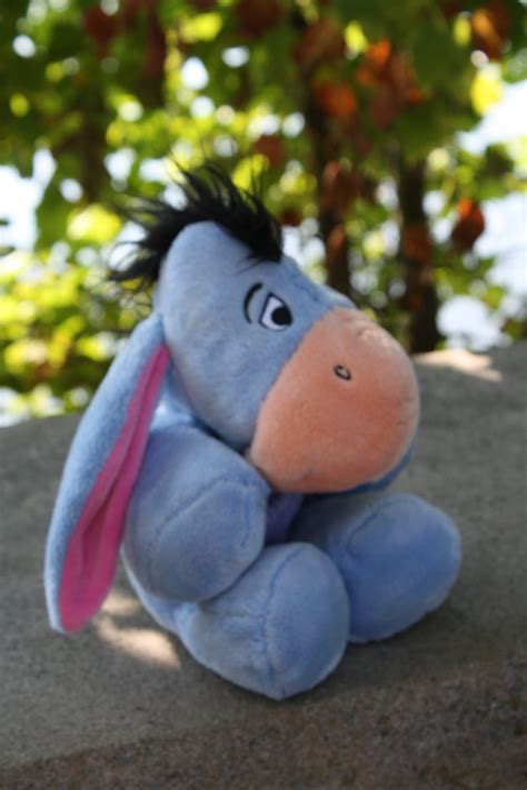 1000 Images About Eeyore On Pinterest