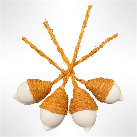 White Pule White Cowrie Shell With Brown Kafa Pulu Coconut Fiber South Pacific Aromas