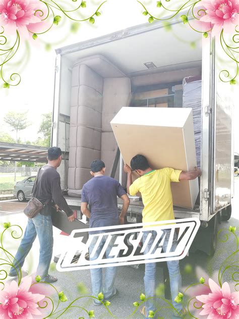 Movers Ams Transport And Logistics Services Lori Sewa