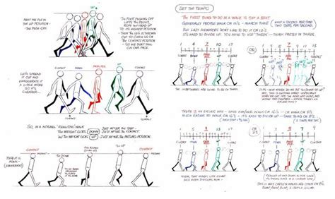 Walk Cycle Keyframes Walkcycle Animation Reference Walk Cycle Chart