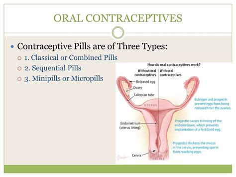 Fertility Control Pptx