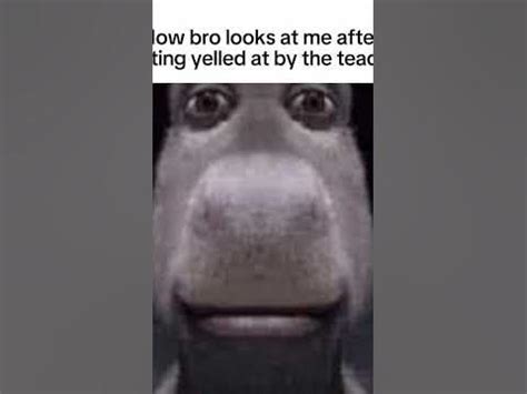 How Bro Look At Me After Getting Yelled At By Our Teacher Youtube