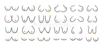 Doodle Women Breasts Female Anatomy Hand Drawn Different Size Forms