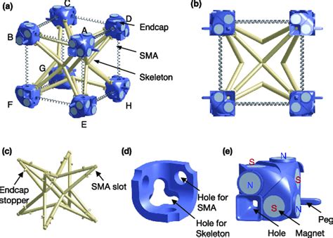 Module Design A A Single Module Is Composed Of A Stellated Skeleton