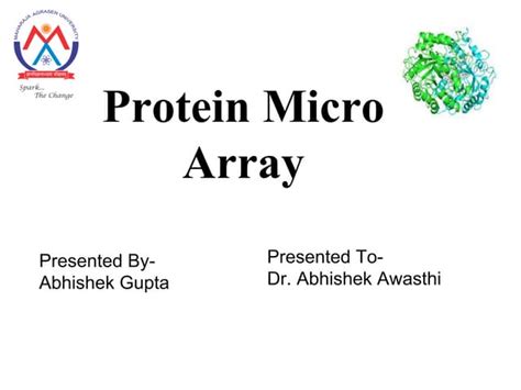 Protein Microarray Pptx