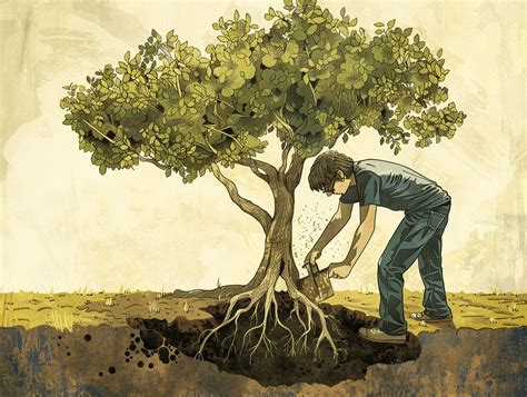 How To Transplant A Tree Step By Step Guide