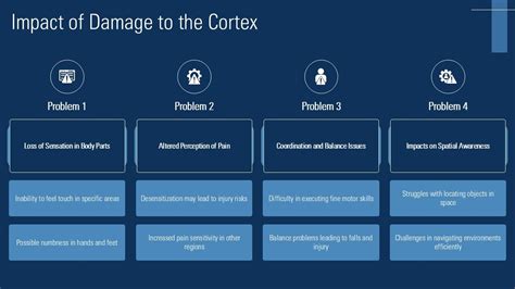 Primary Somatosensory Cortex Analogy Ppt Information Acp Ppt Presentation