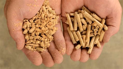 Pellet Durability Matters How To Minimize Fines Farmvina