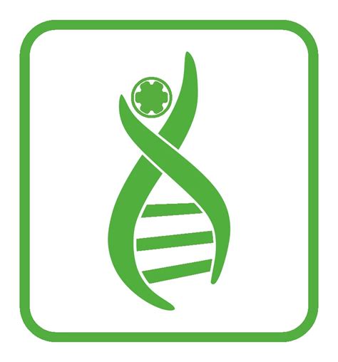 The Difference Between QPCR PCR And RT PCR Denagene Denagene