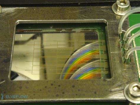 microfluidic device flow control chip holder elveflow