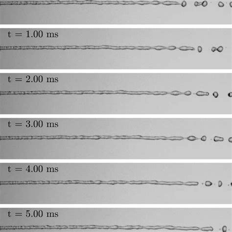 Schematic Illustration Of The Nitrogen Supply Device Comprising The