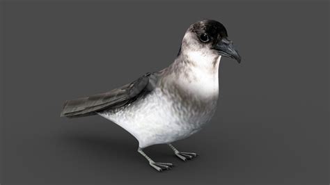 3d Yunco Turbosquid 2147530