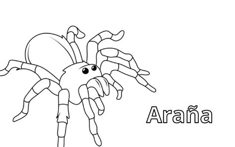 67 Araña Para Colorear Descargar E Imprimir Gratis Arañas